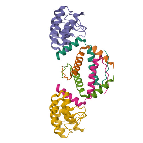RCSB PDB - 9GLQ: Crystal structure of p73 tetramerisation domain in ...