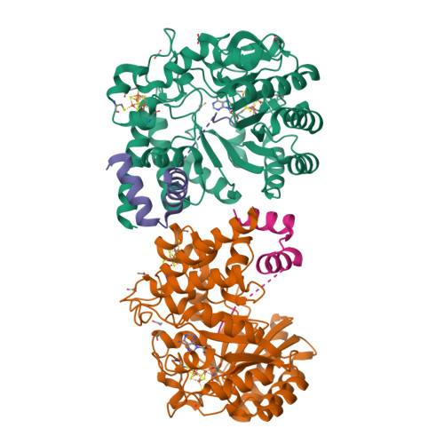 RCSB PDB - 9GMC: Crystal structure of the complex formed between the ...