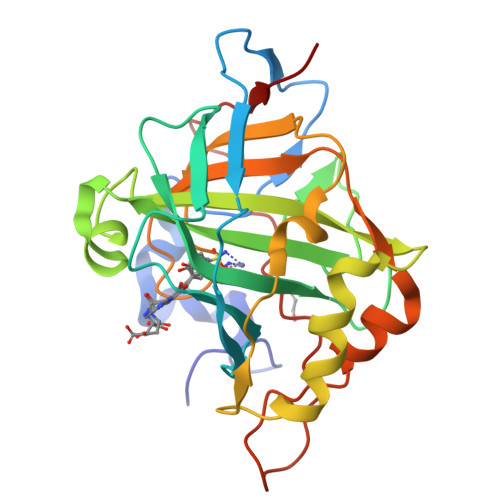 RCSB PDB - 9GOO: Crystal structure of human carbonic anhydrase II in ...