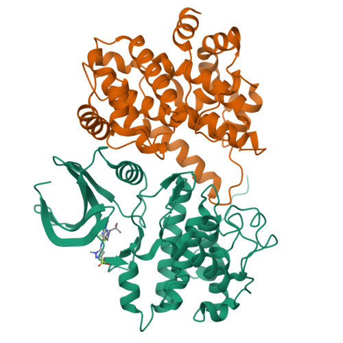 RCSB PDB - 9GOP: Crystal structure of CDK2-cyclin E1 bound by compound 30
