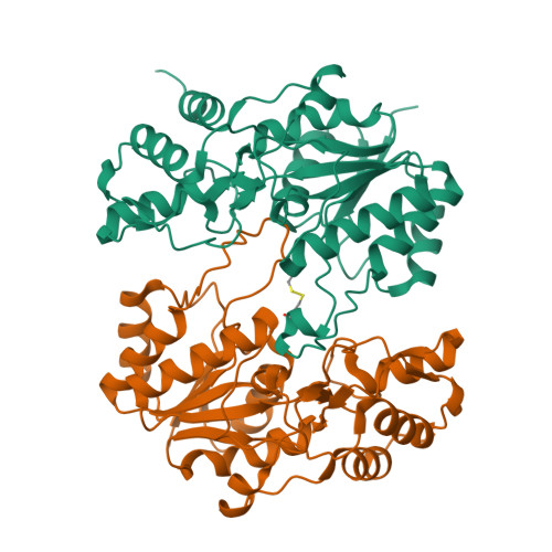 RCSB PDB - 9GPI: Structure of RmlD from Trichomonas vaginalis is space ...