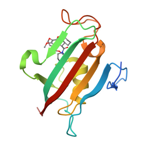 RCSB PDB - 9GQ2: The FK1 domain of FKBP51 in complex with the ...
