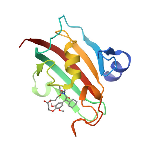 RCSB PDB - 9GQA: The FK1 domain of FKBP51 in complex with the ...