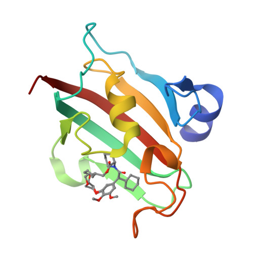 RCSB PDB - 9GQF: The FK1 domain of FKBP51 in complex with the ...