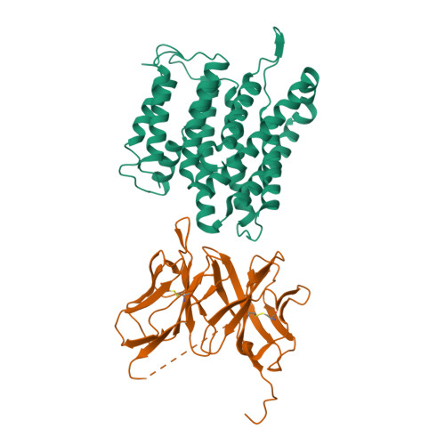 RCSB PDB - 9GSL: Cryo-EM structure of human SLC35B1 in inward facing ...