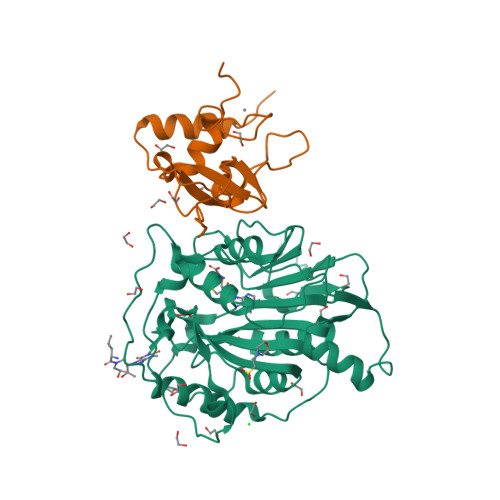RCSB PDB - 9GUE: SARS-CoV-2 methyltransferase nsp10-16 in complex with ...