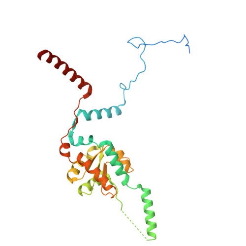 RCSB PDB - 9GUL: Structure of FLuc-XBP1u+ stalled human 60S ribosome ...