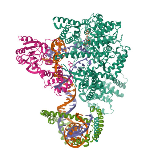 RCSB PDB - 9GZM: Cryo-EM structure of the human mitochondrial RNA ...