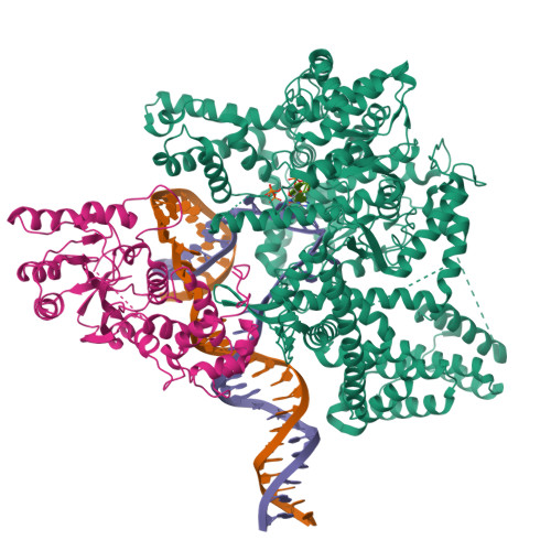 RCSB PDB - 9GZO: Cryo-EM structure of the human mitochondrial RNA ...