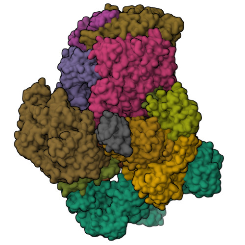 RCSB PDB - 9H1L: Methyl-coenzyme M reductase activation complex binding ...