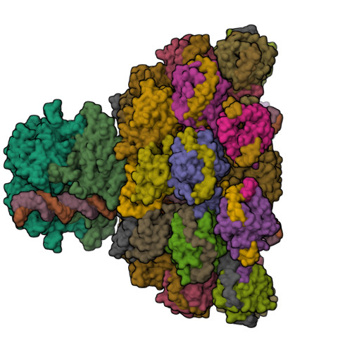 RCSB PDB - 9H2H: AcMNPV apical cap - composite map of the C2 plug