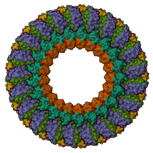 RCSB PDB - 9H2K: AcMNPV apical cap - C21 ring