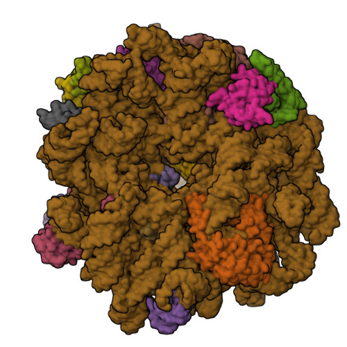RCSB PDB - 9H3T: 50S subunit precursor C_L2