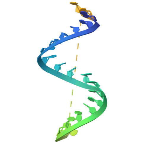 RCSB PDB - 9H83: Small circular RNA dimer - Class 2