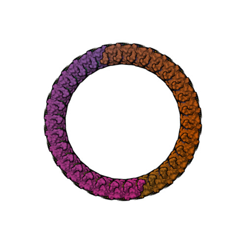 RCSB PDB - 9H8B: Ex vivo cannulae fiber structure of Pyrodictium abyssi