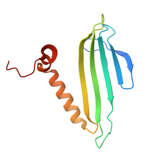 RCSB PDB - 9HAS: pT=3 virus-like particle of ssRNA phage ESO003 coat ...