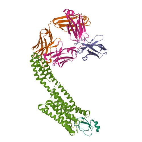 RCSB PDB - 9HB3: cryo-EM structure of inactive human arginine ...