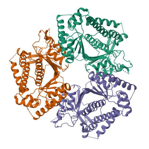 RCSB PDB - 9HFQ: Cryo-EM structure of human CDADC1 inactive mutant ...