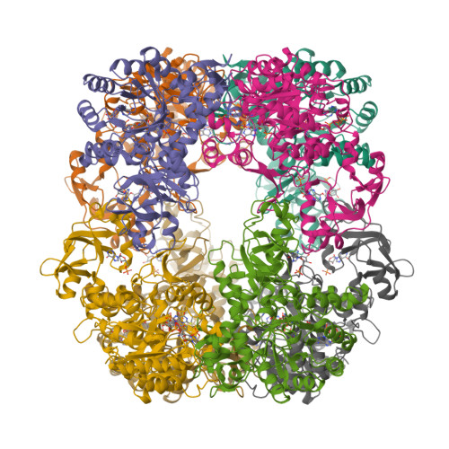 RCSB PDB - 9HG0: Crystal structure of M. smegmatis GMP reductase with ...