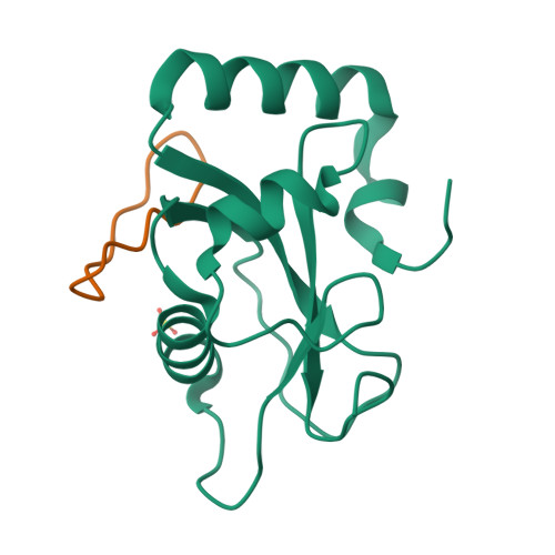 RCSB PDB - 9HGC: Crystal structure of human GABARAPL1 in complex with ...