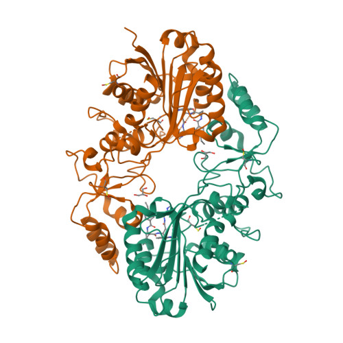 RCSB PDB - 9HGM: Structure of human DNMT2 with bound allosteric inhibitor