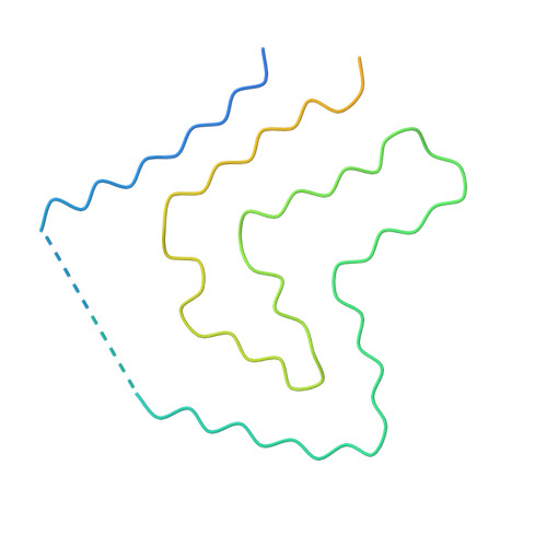 RCSB PDB - 9HGR: In vitro grown WT Alpha-Synuclein Fibrils