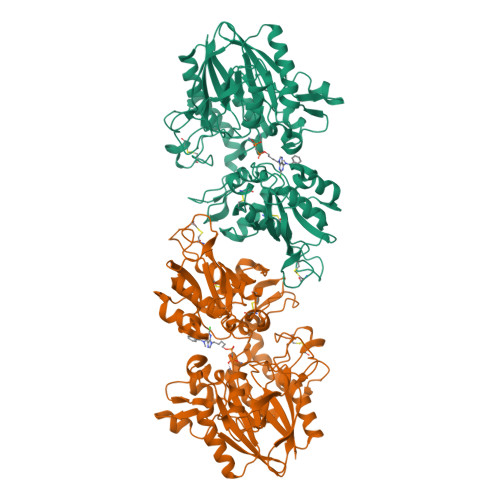 RCSB PDB - 9HJG: Crystal structure of human CD73 (ecto-5'-nucleotidase ...