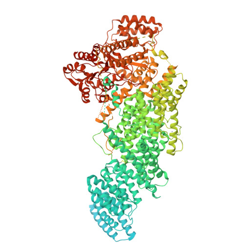 RCSB PDB - 9HM7: Cryo-EM structure of apo human separase with the ...