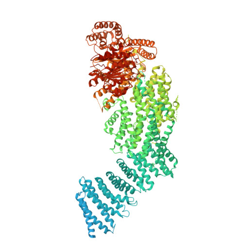 RCSB PDB - 9HMA: Cryo-EM structure of apo human separase