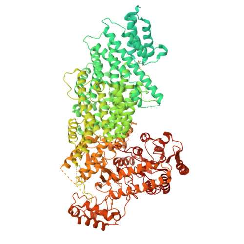 RCSB PDB - 9HMS: Cryo-EM structure of human separase bound to SCC1 (310 ...