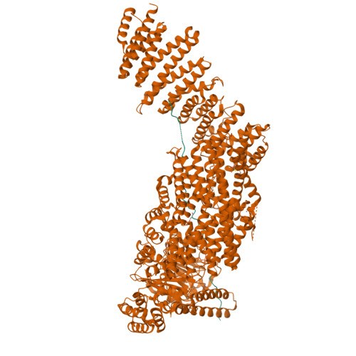 RCSB PDB - 9HN5: Cryo-EM structure of human separase bound to ...