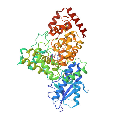 RCSB PDB - 9HNM: Structure of the (6-4) photolyase of Caulobacter ...