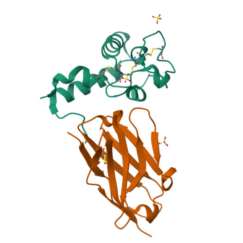 RCSB PDB - 9HQ5: Crystal structure of Tetraspanin CD63mutant Large ...