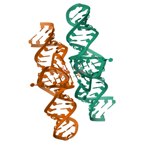 RCSB PDB - 9HRG: Crystal structure of the Class V (G61A) GTP aptamer ...