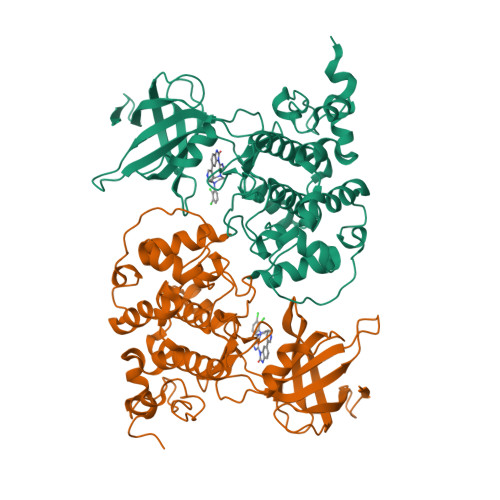 RCSB PDB - 9HUL: Crystal structure of human GSK3b in complex with ARN25423