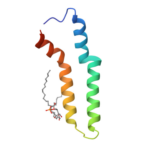 RCSB PDB - 9HVC: CryoEM structure of cyclised H-pilus