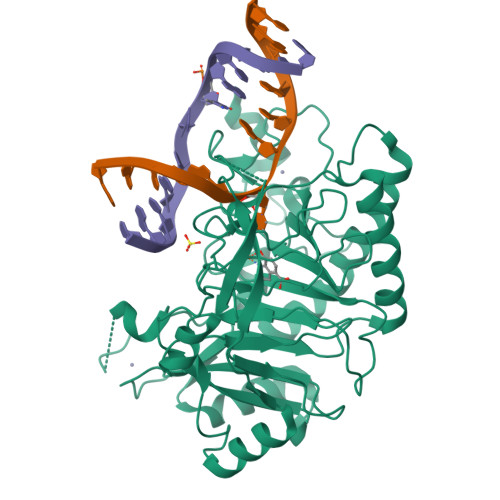 RCSB PDB - 9HXV: Crystal structure of TET2-DNA in complex with IOX1