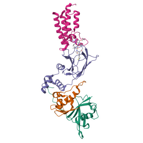 RCSB PDB - 9HYB: CRYSTAL STRUCTURE OF THE SMARCA2-VCB-COMPLEX WITH ...