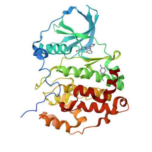 RCSB PDB - 9HYH: Protein kinase CK2 catalytic subunit alpha (CSNK2A1 ...
