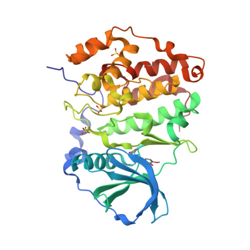 RCSB PDB - 9I10: Human protein kinase CK2 alpha in complex with TN12