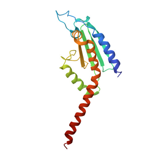 RCSB PDB - 9I2B: SPIN90-Arp2/3 nucleated bidirectional actin filaments