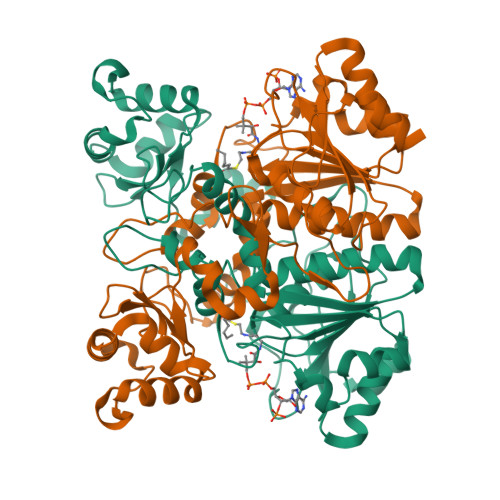 RCSB PDB - 9I34: Alpha-Methylacyl-CoA racemase from Mycobacterium ...