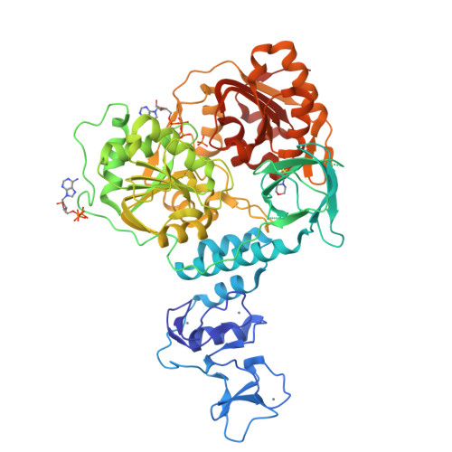 RCSB PDB - 9I53: Crystal structure of the SARS-CoV-2 helicase NSP13 in ...