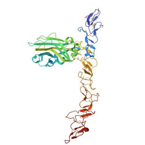RCSB PDB - 9I5A: Crystal structure of wild type perlecan region 3 ...