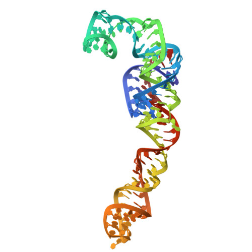 RCSB PDB - 9I78: Cryo-EM structure of Chaetomium thermophilum ribosome ...