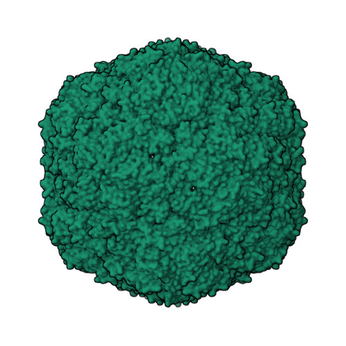 RCSB PDB - 9I8D: Structure of Encapsulin from Arthrobacter sp.