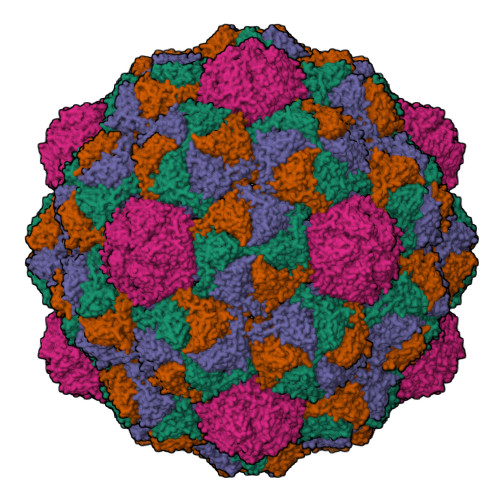 RCSB PDB - 9I8E: Structure of Encapsulin from Dendrosporobacter quercicolus