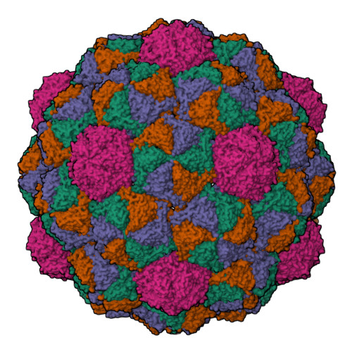 RCSB PDB - 9I8F: Structure of Encapsulin from Dendrosporobacter ...