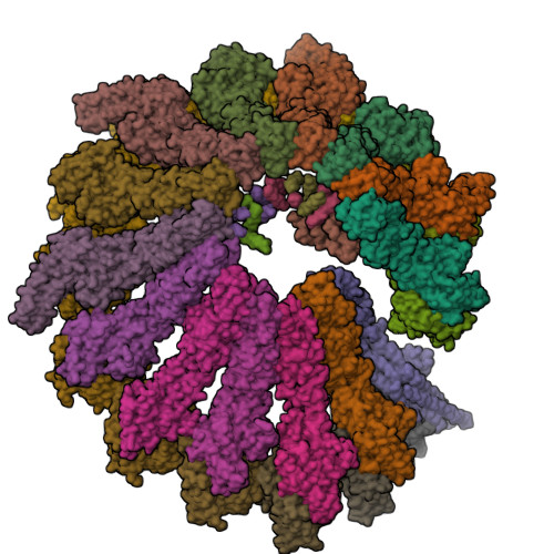 RCSB PDB - 9I8G: Inwards conformation' of the human gamma-TuRC from ...