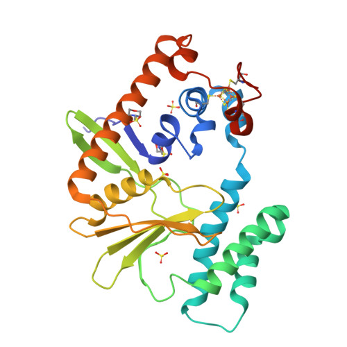 RCSB PDB - 9IAB: Structure of the Argonaute-associated Cas4 family ...